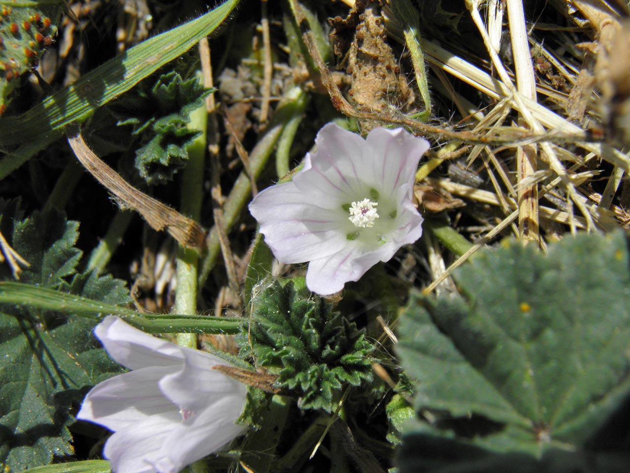 Kevin's Photo Journal